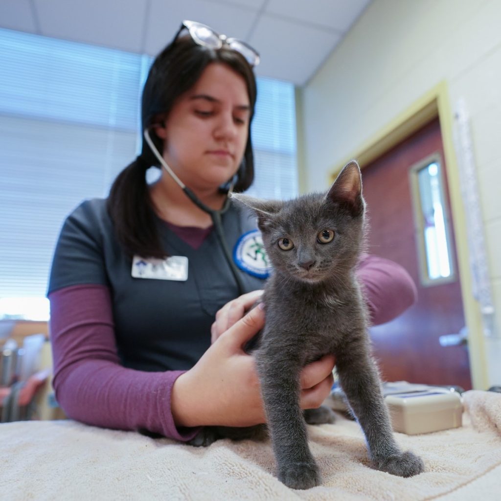 Foundation-Funded Programs - Norwalk Community College Foundation